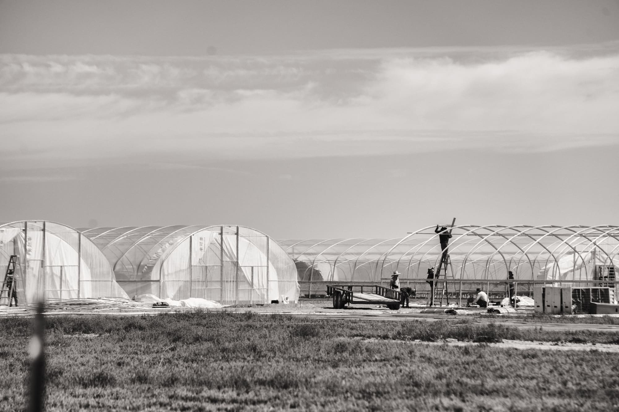 A green light for Dineh Benally - Searchlight New Mexico - High Desert ...