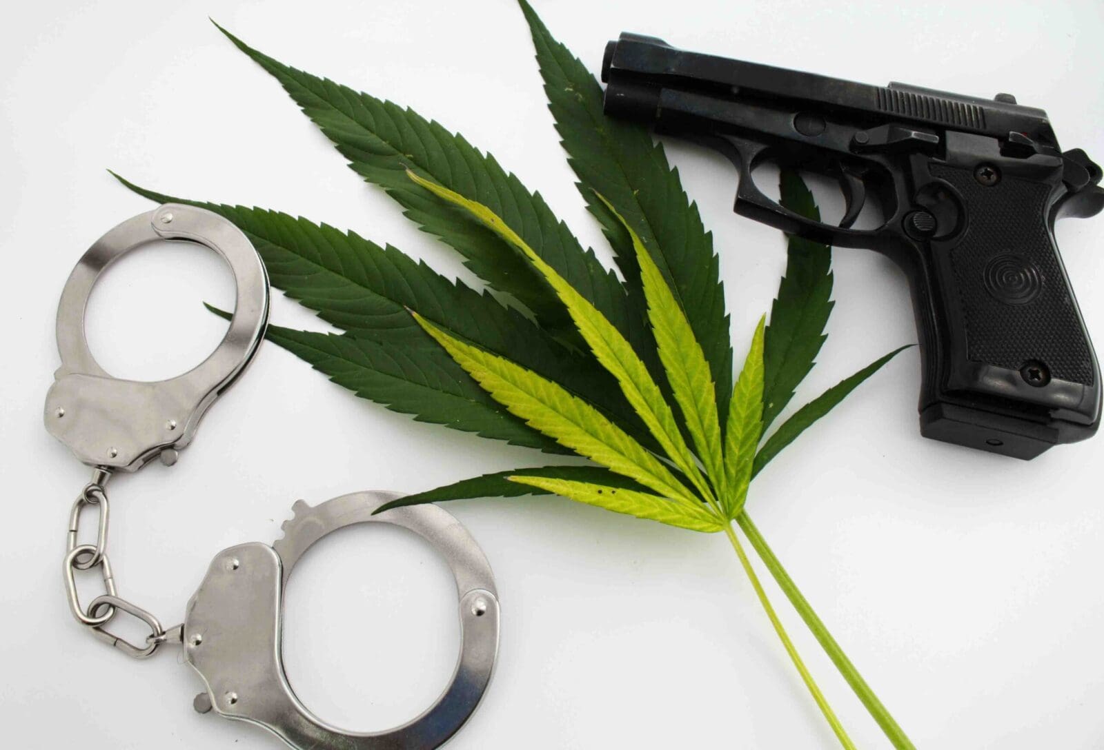 Judge strikes down gun ban for marijuana consumers - High Desert Relief