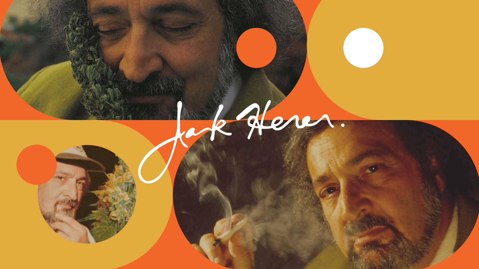America’s best Jack Herer for Jack Herer Day and beyond - High Desert ...