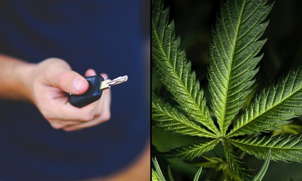 Current Roadside Tests For Marijuana Impairment Are ‘Pseudoscientific ...