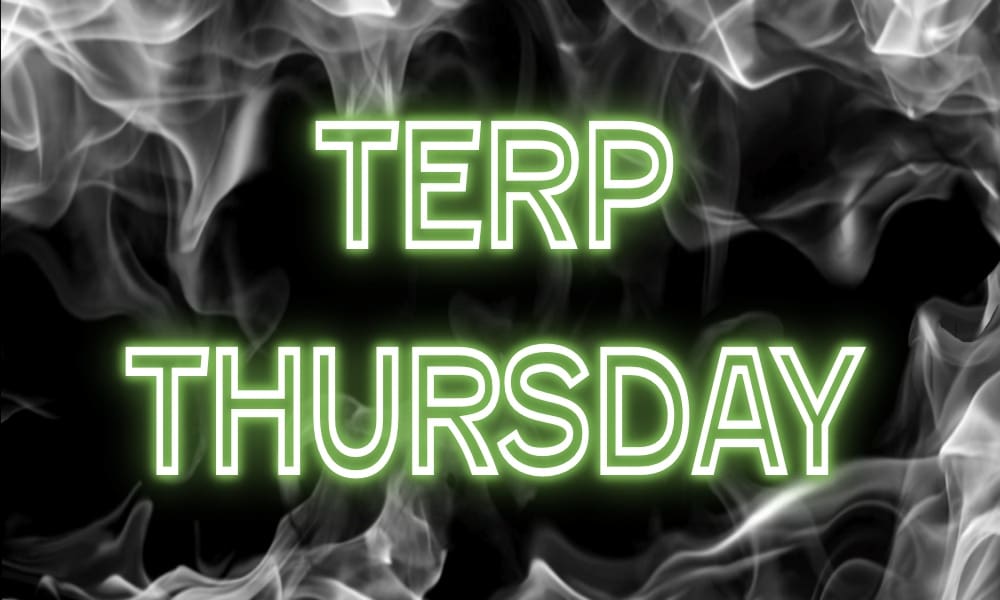 Terp Thursday - High Desert Relief
