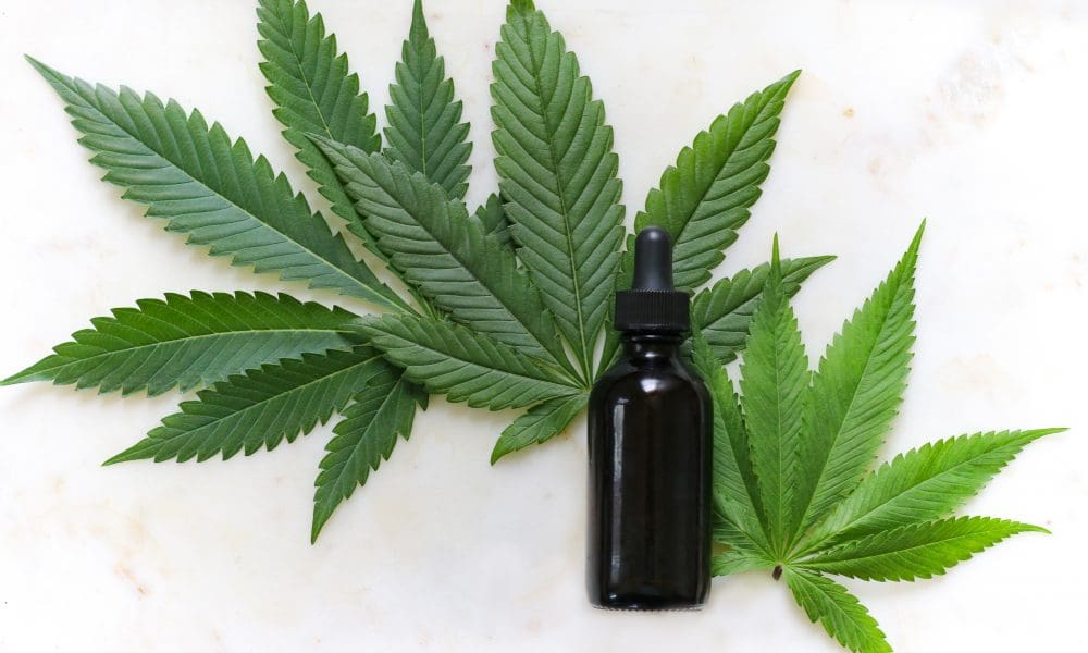 Cannabis Oil Can Help Heal Skin Wounds By Creating ‘A More Conducive ...